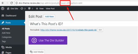 how to find your wordpress page id and post id and what you can do