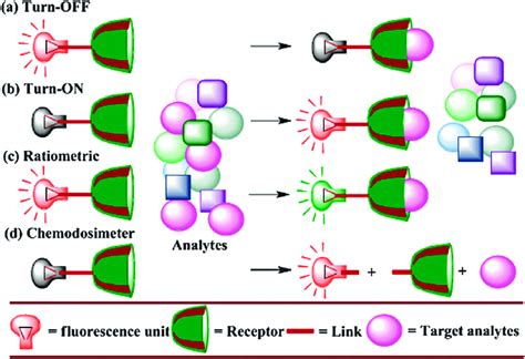 scheme 1 schematic representation of various types of fluorescent