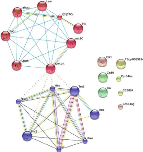 Protein − Protein Interaction Networks Of 23 Protein Species With Known