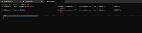 how to run nginx php fpm in docker container separate image tkjpedia