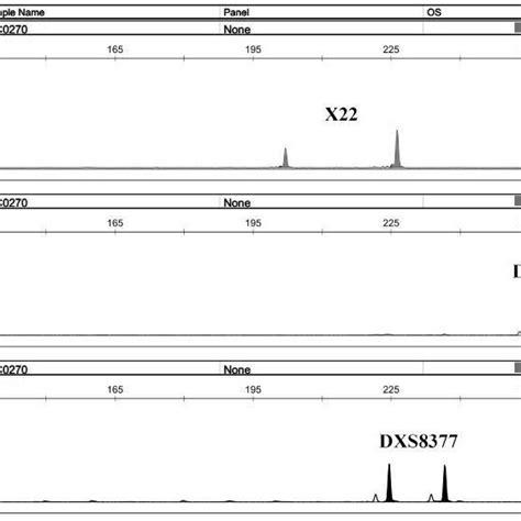 pdf comparison of the performance of qf pcr with qpcr as a rapid