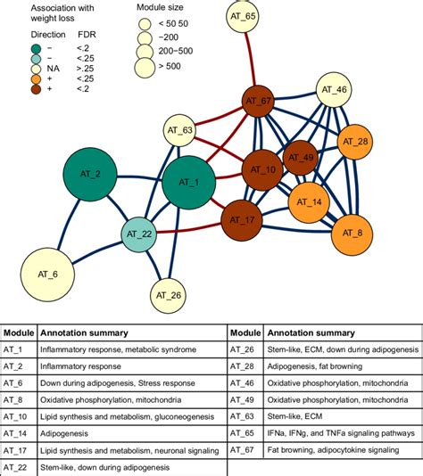Correlation Network Analysis Reveals Several Metabolism Related Gene