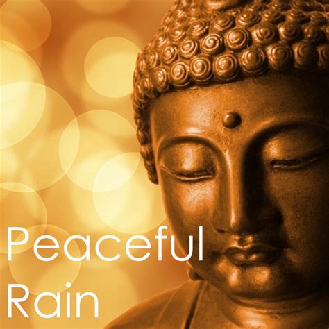 0 Anxiety Nature Sounds 50 Rain Tracks Album By Rain For Deep Sleep