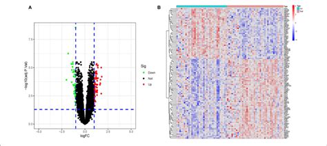 A A Volcano Plot Representing The Findings Of Differential