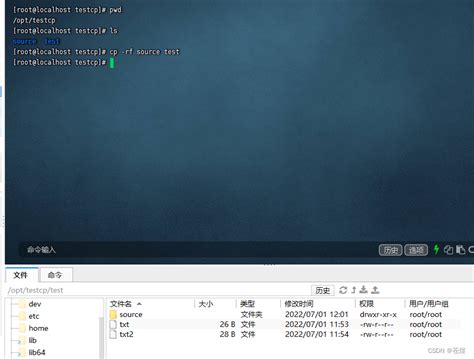 linux常用操作命令中带 和不带的区别 linux里 和 有什么区别 苍煜的博客 csdn博客