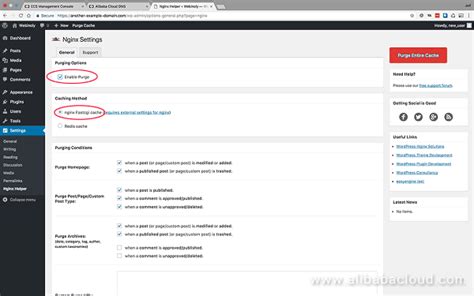 automation scripts for wordpress part 2 webinoly