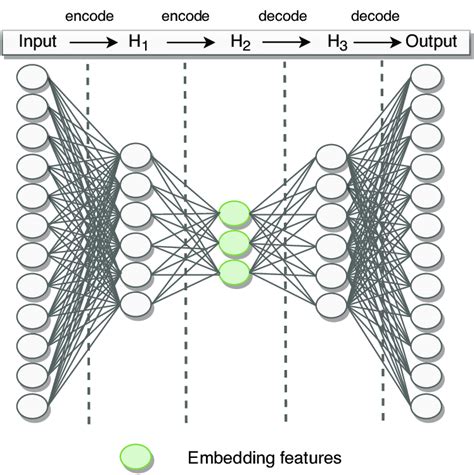 feature extraction process performed using the encoding function of the
