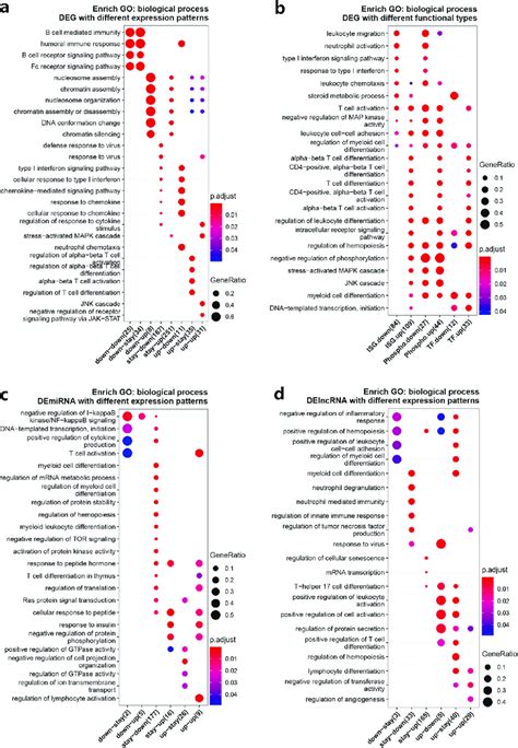 Gene Ontology Go Enrichment Analysis Identified T Cell Immunity As