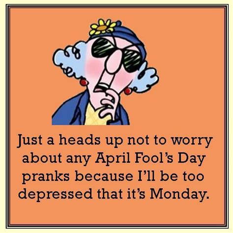 Maxine On April Fools Daay Share Funny Quotes Humor Funny