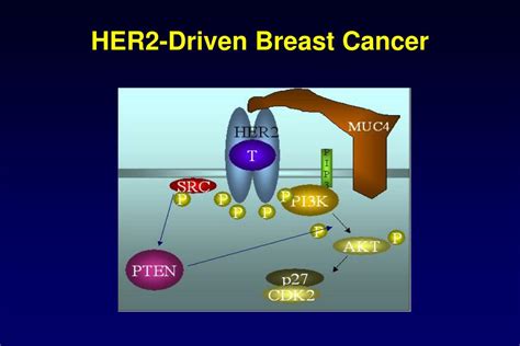 Ppt Adjuvant Therapy For Early Breast Cancer Subtypes Joyce O