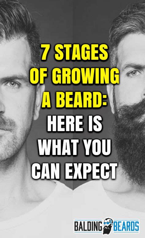 Stages Of Beard