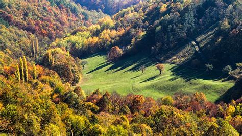 gledic alpine meadow serbia windows theme wallpaper preview