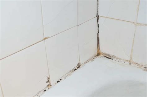 How To Get Rid Of The Mold In Your Shower Fresh Home Guide