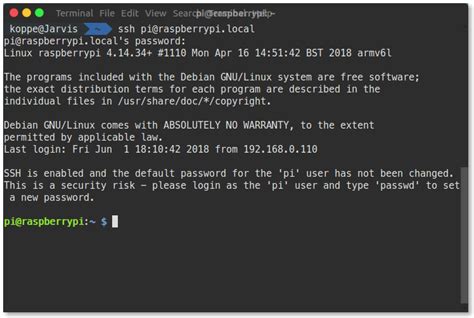 raspberry pi could not resolve host raspberry