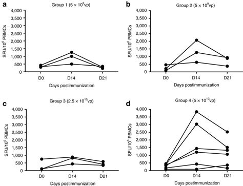 Ex Vivo Interferon γ Ifn γ Enzyme Linked Immunospot Elispot