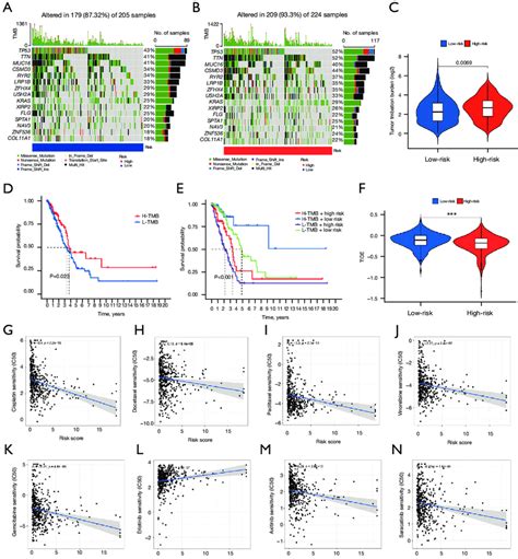 Mutation Immunotherapy And Chemotherapy Sensitivity Analyses A