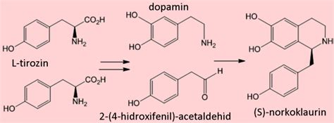 codeine and oxycodone molecule of the month html only version