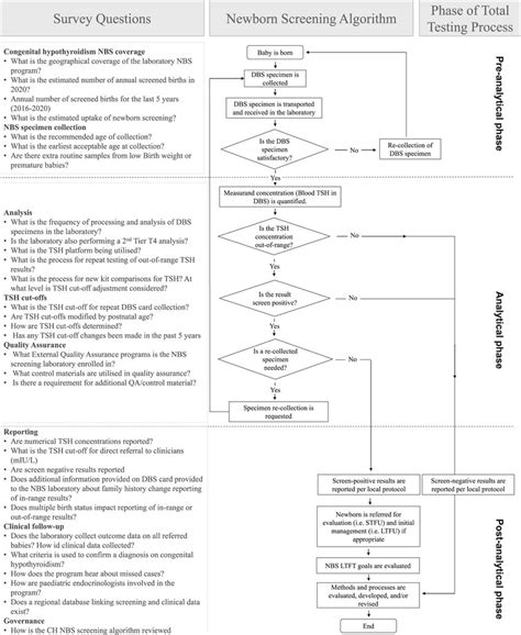 Newborn Screening Algorithm For Congenital Hypothyroidism Adopted In