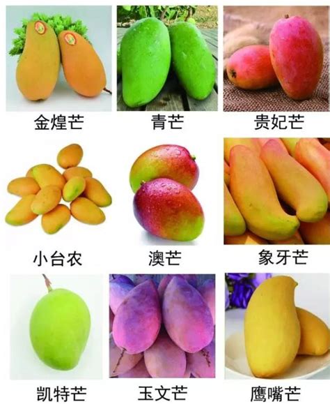 最美人間四月天，這5種水果必吃！附選購技巧 每日頭條