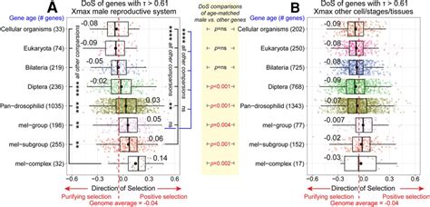 new genes often acquire male specific functions but rarely become