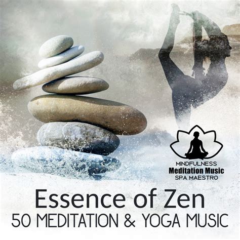 Essence Of Zen 50 Meditation And Yoga Music Healing Nature Sounds For