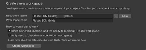 how to set up a plastic scm repository in unity and add team members to