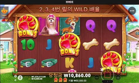개집슬롯 보너스스핀 도그하우스 프라그마틱 슬롯머신 슬롯게임 온라인슬롯 슬롯사이트 슬롯 머신 개집 슬롯