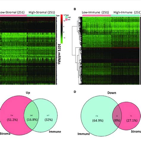 Comparison Of Gene Expression Profile With Immune Scores And Stromal