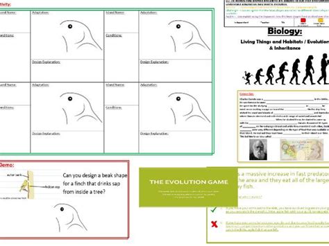 Ks2 Science Evolution And Inheritance Darwin And His Finches Year