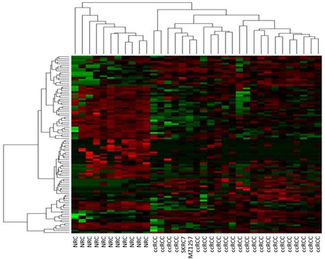 unsupervised cluster analysis of the 100 differentially expressed mirna