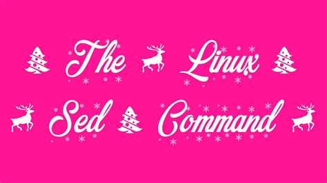 the linux sed command for beginners youtube