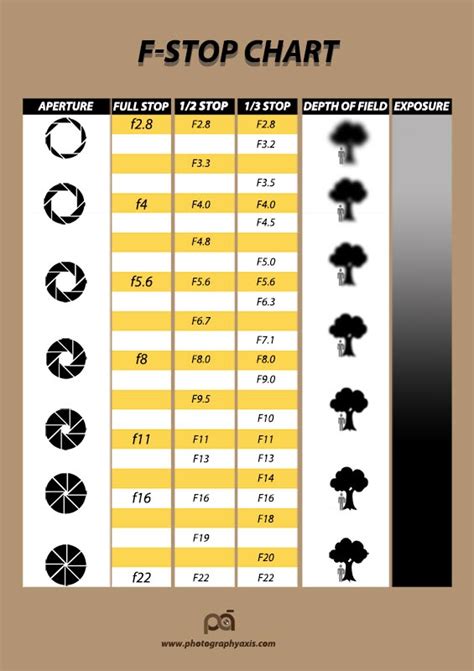 F Stop Chart Aperture Stop Chart Explained Photographyaxis