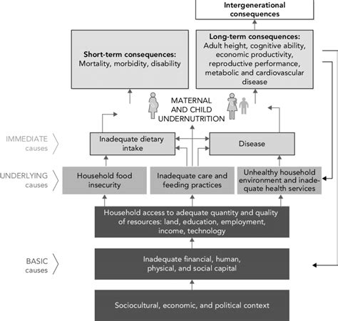 1 Unicef Conceptual Framework For Undernutrition Download Scientific