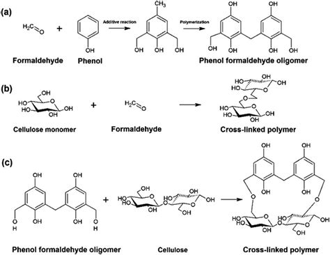 Schematic Chemical Reactions Of Cell Wall Polymers And Phenol