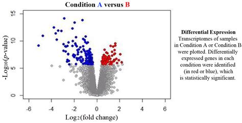 rna sequencing otogenetics