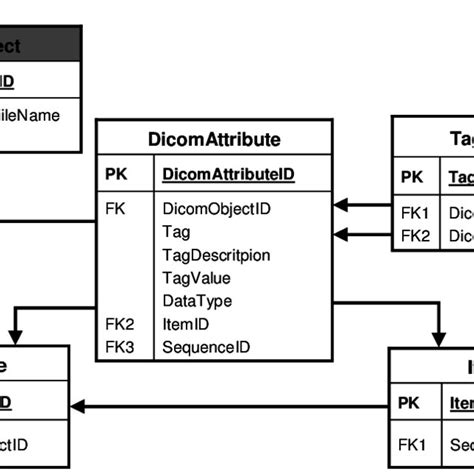 the model of the dicom attribute database maintained by the dqm web