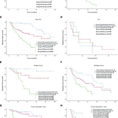 Subgroup Survival Analysis Exploring The Effect Of Sarcopenia