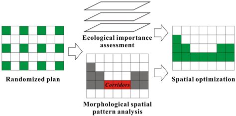 Forests Free Full Text Spatial Optimization With Morphological