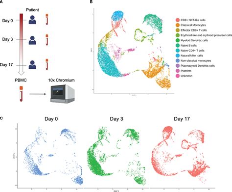 Frontiers Single Cell Rna Seq Analysis Identifies Distinct Myeloid