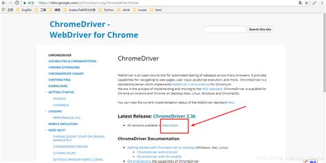 webdriver chrome 报错：mon exceptions webdriverexception