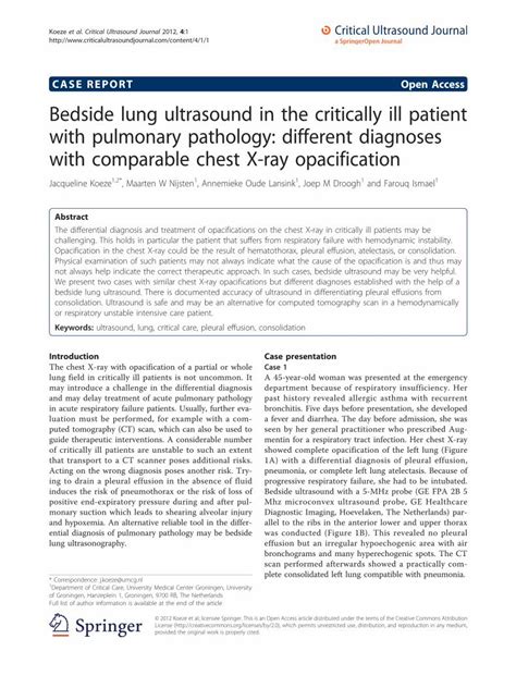 Pdf Bedside Lung Ultrasound In The Critically Ill Patient With