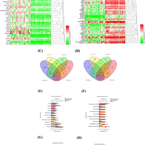 Identification And Functional Annotation Of Genes Differently Expressed