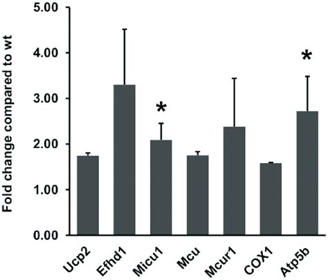 Relative Mrna Expression Levels Of 7 Selected Genes Determined By