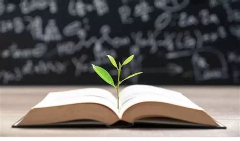 5 Key Components Of Financial Literacy • Exquisite Magazine Fashion