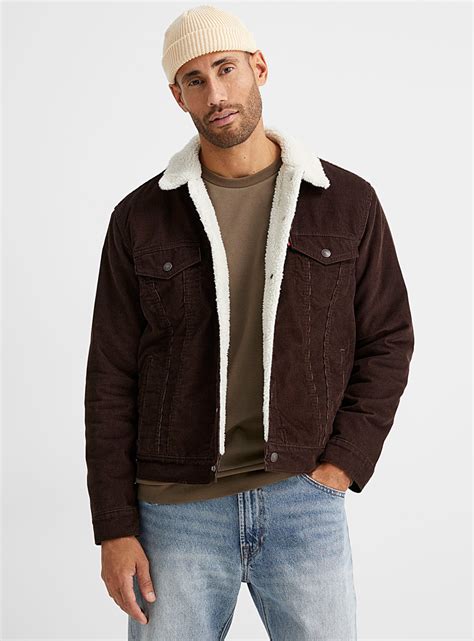 Top 55 Imagen Levis Sherpa Trucker Jacket Brown Abzlocal Mx
