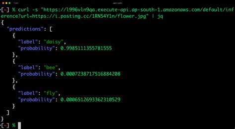 tutorial host a serverless ml inference api with aws