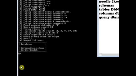 the mole sql injection tutorial youtube