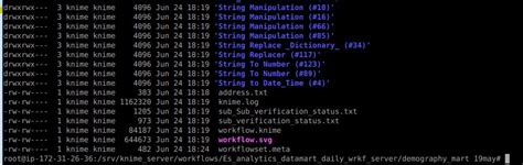 server job is not able to access local input files during execution and