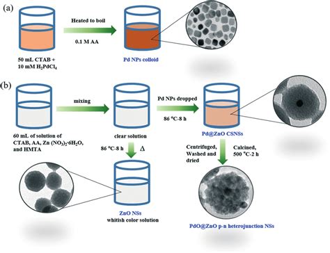 Schematics Of The Synthesis Processes Of A Pd Nps B Zno Nss And