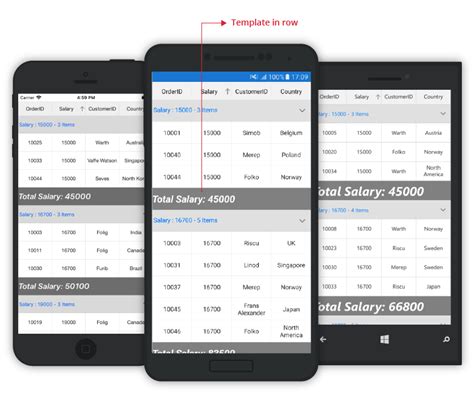 summaries in xamarin datagrid control syncfusion